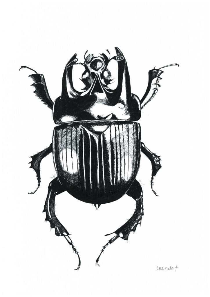 Dungbeetle – Lesinda Art